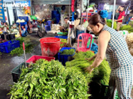 Rau dưa đắt 'khét lẹt', hơn cả thịt cá